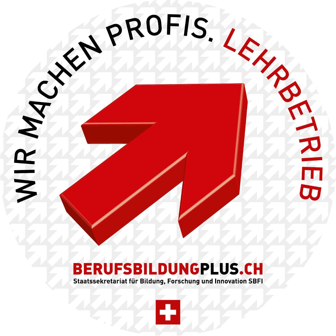 Lernen Sie das Team der Lubana AG kennen